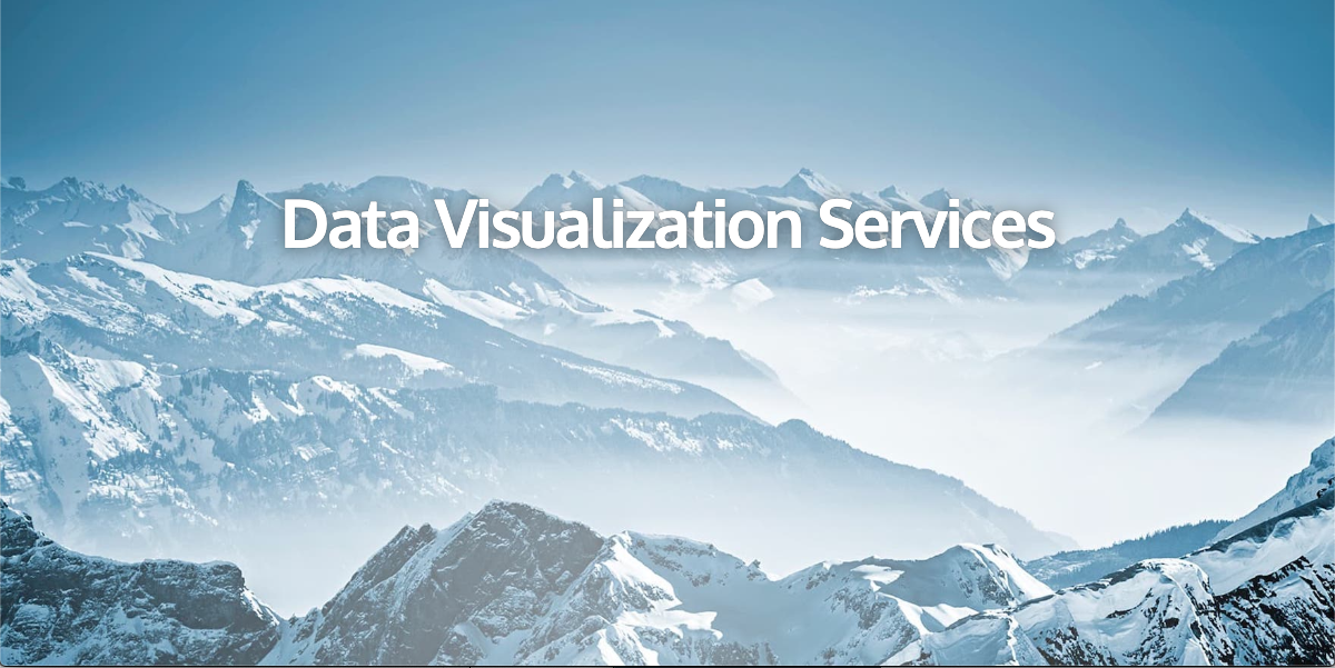 Data Visualization Services | Igloo Analytics